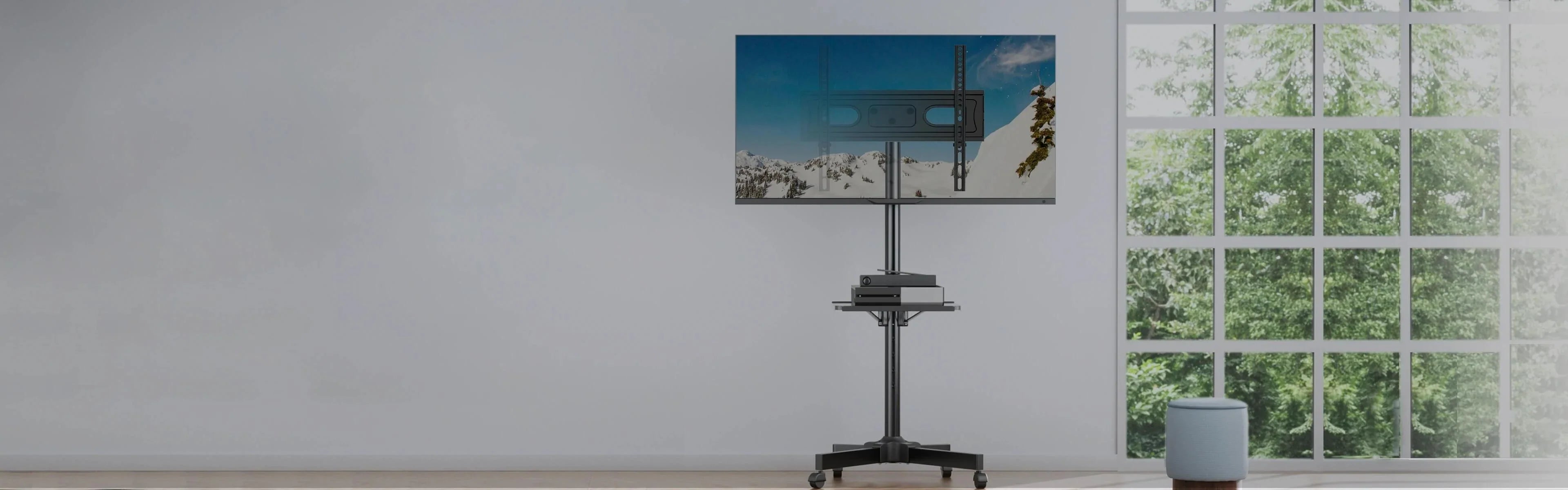 TV Carts
